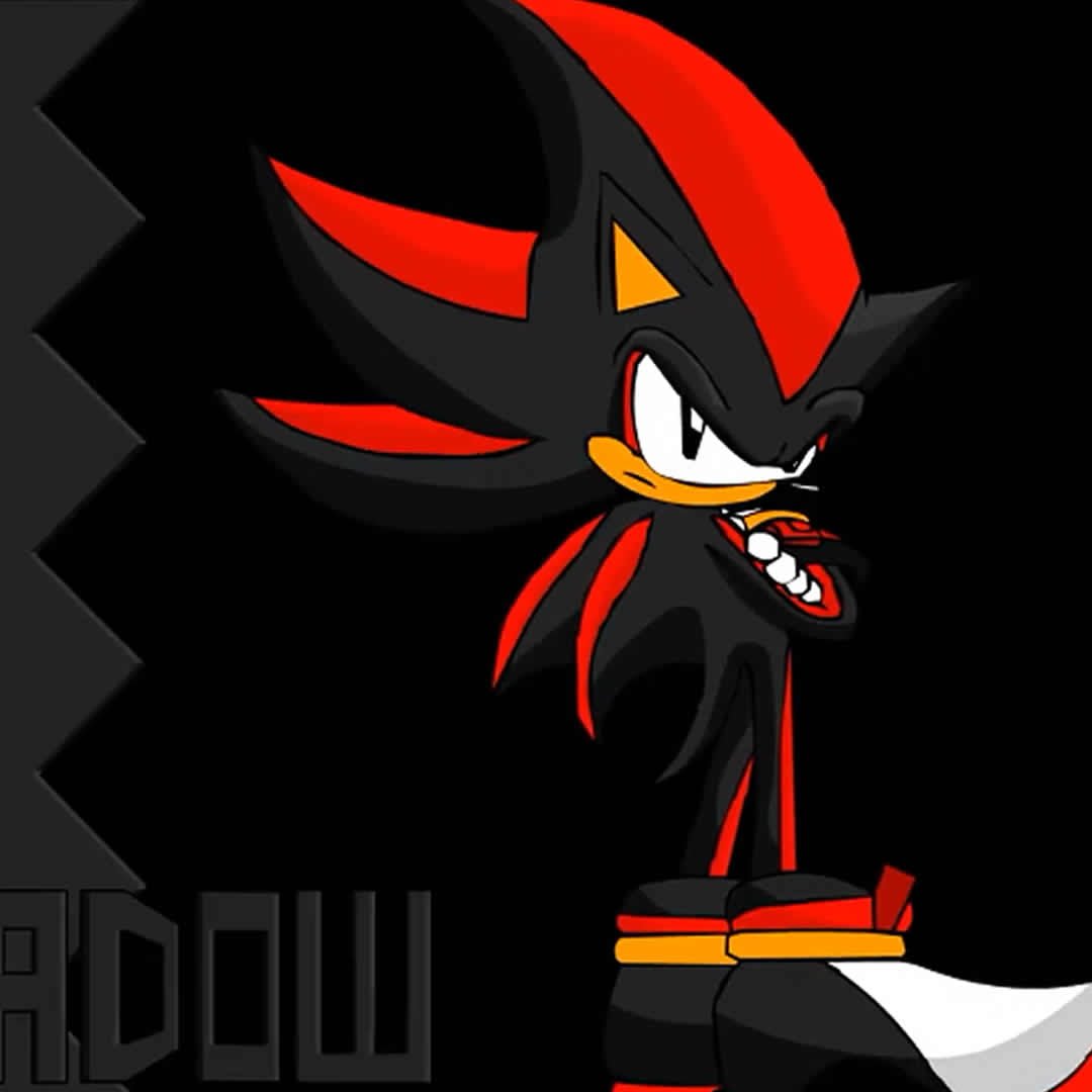 Sonic Flash