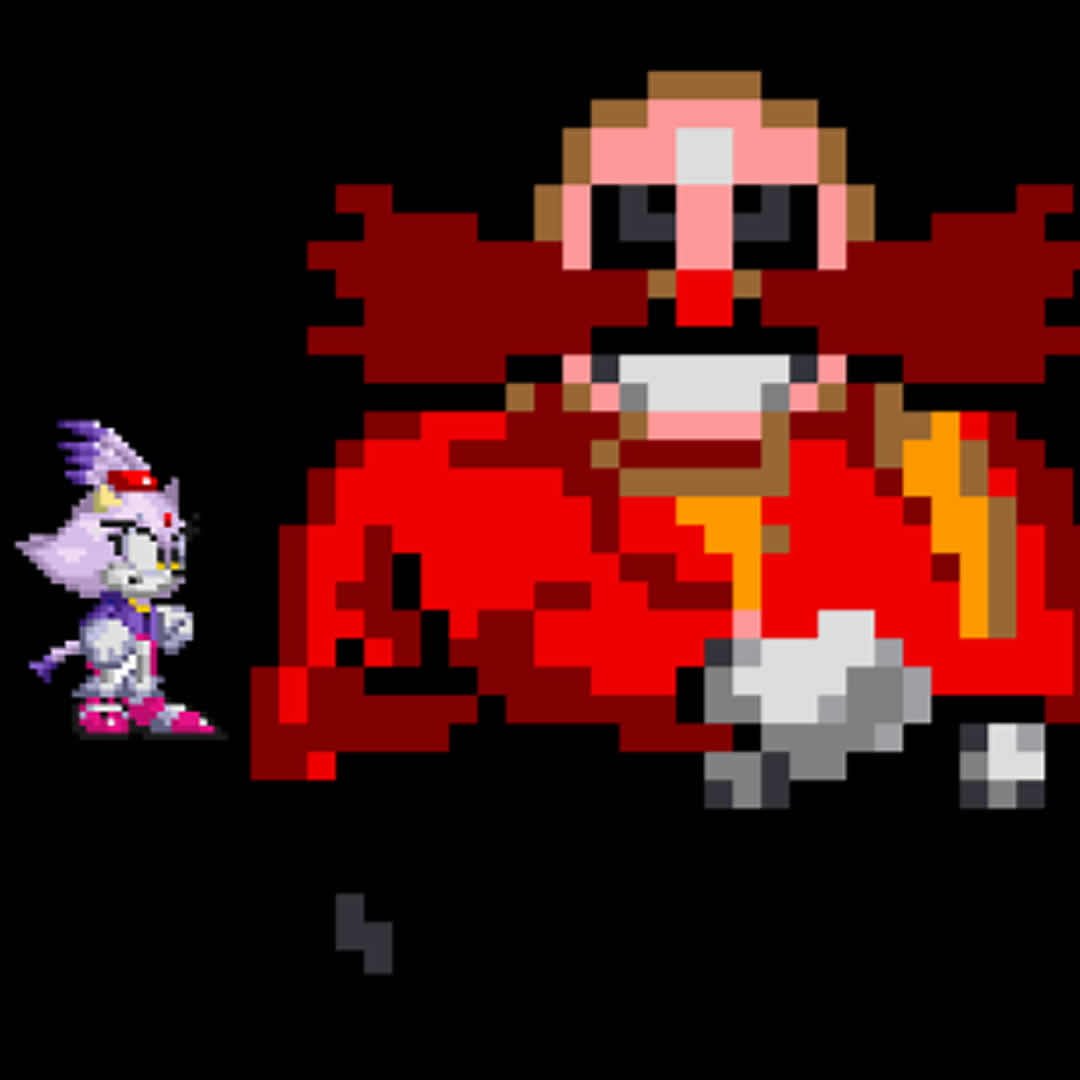 Sonic Charrie Maker - EmeraldGames.com